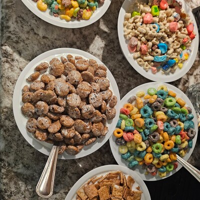 Hanging Faux Food Cereal Wall Art Decor Bespoke Lucky Charms Fruit ...