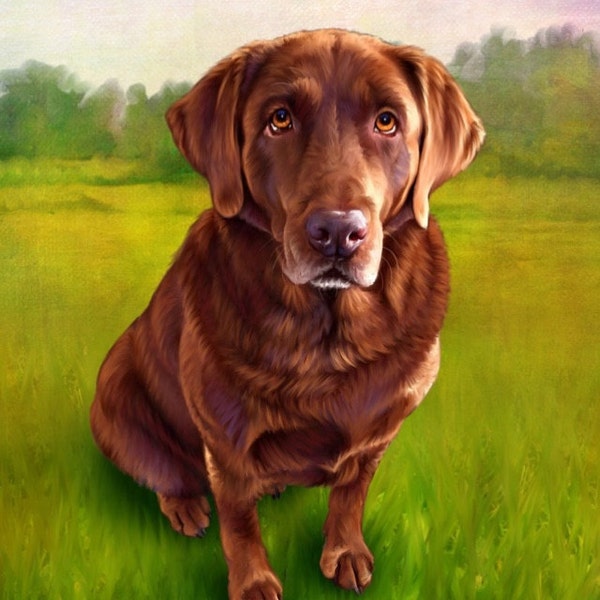 Chocolate Labrador Portrait, Chocolate Lab Art, Chocolate Labrador ...