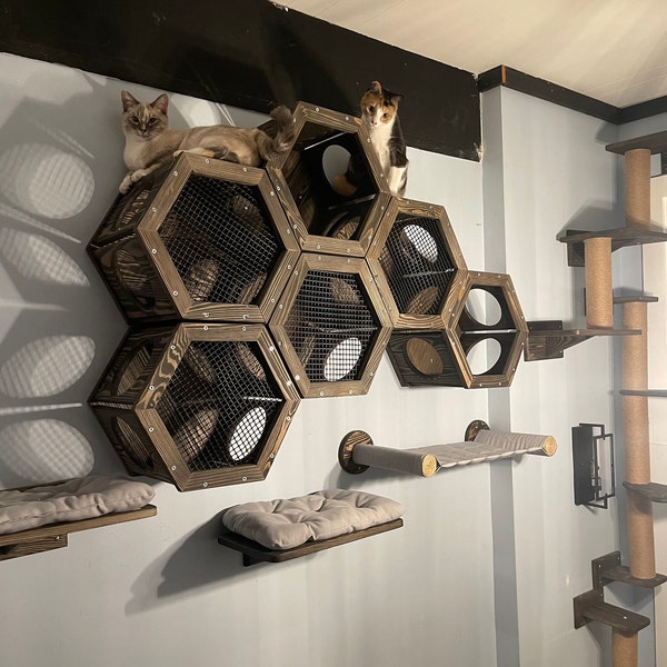 Cat Furniture Set Wall Mounted Hexagon Kitten Bridge Cat Wall Steps ...