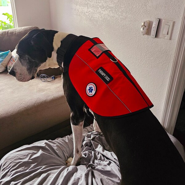 Emotional Support Animal E.S.A. Dog Harness Reflective Assistance Vest ...