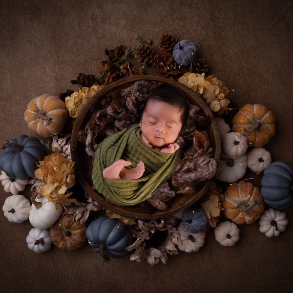 Fall Digital Backdrop, Newborn Baby Digital Backdrops, Digital ...