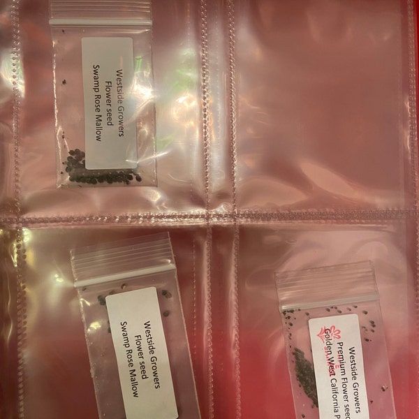 Premium Swamp Rose Mallow Flower Seeds - Gorgeous ! Stunning ! Grown in ...