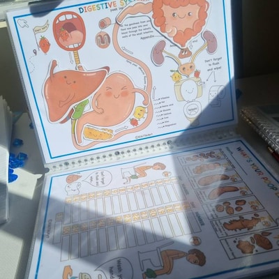 Human Organs Play Dough Mats Fine Motor Skills Preschool Printables ...