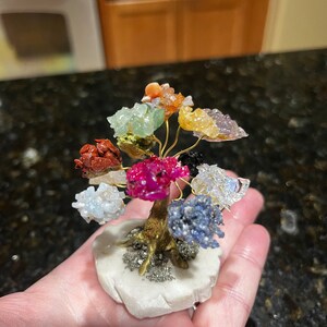 Wooden Shell Tripod Display Stand Hand Carved Base for - Etsy