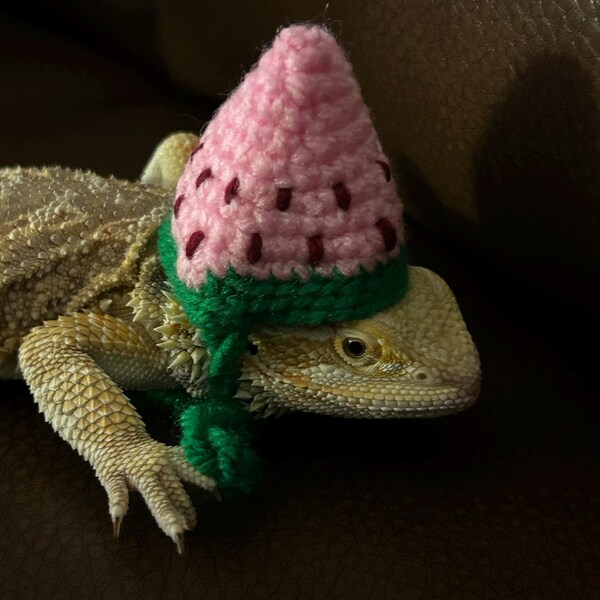 Pet Rabbit Costume, Bee Costume for Guinea Pig, Clothes for Bunnies ...