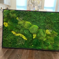 Modern Wave Preserved Moss Wall Art: Shou Sugi Ban Frame - Etsy