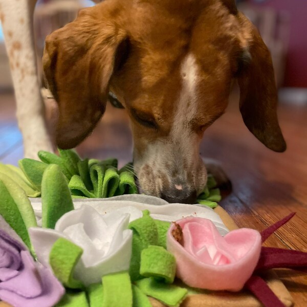Cupcake Snuffle Mat - Dog Toy, Pet Toy, Interactive, Mental Exercise ...