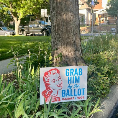 Ban Assault Rifles Not Books Yard Sign, Gun Control Protest Sign, Gun ...