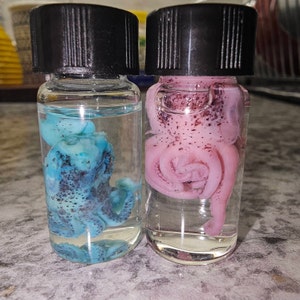 Real Cute PINK Cuttlefish in a Jar, Wet Specimen, Squid, Tentacles ...