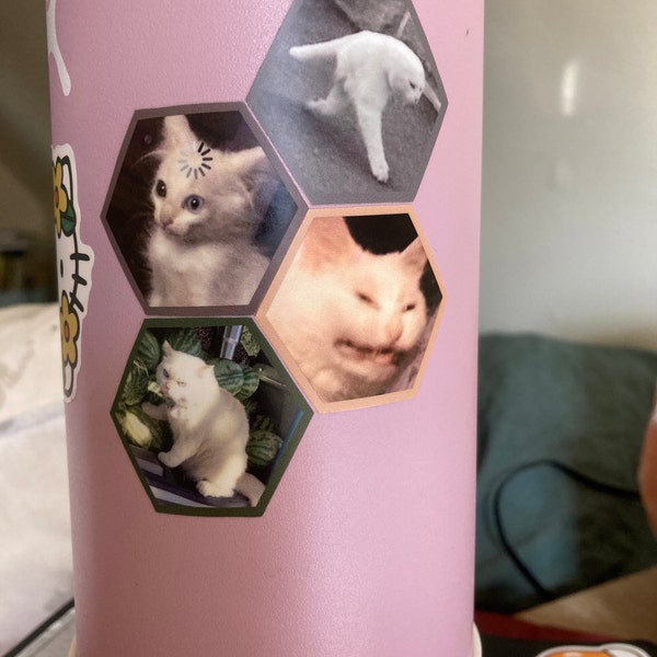 Hexagonal Cat Meme Stickers. Waterproof and Weatherproof. - Etsy