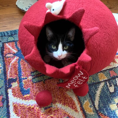 Cat Toy Felted Cat Balls Rainbow Wool Balls Handmade - Etsy