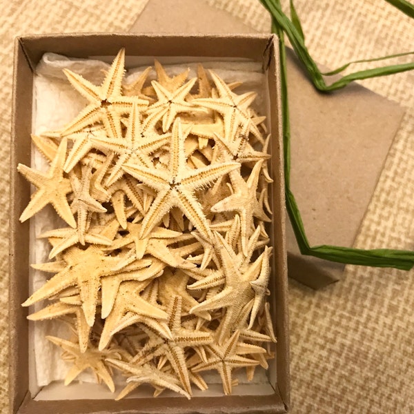 50 Small Starfish for Crafting or Decorating - 1/2”-3/4”beach Decor ...