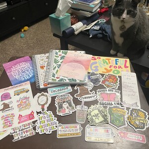 Reusable Sticker Book for Kids, Adults, Cute, Sticker Books, Gifts for ...