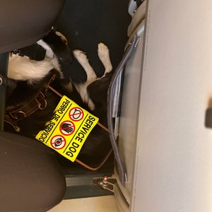 1 Patch IGNORE ME 8 Inches X 3 Inches Sew On Customizable | Etsy