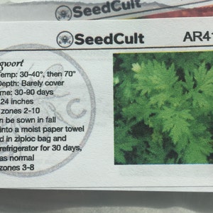 Pro Cut Lemon Sunflower Seeds, Helianthus Annuum HA1120 - Etsy