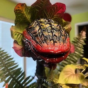 Over 2 1/2 Foot Extra Large Audrey 2 Replica Movie Prop Little - Etsy