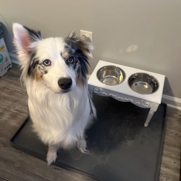 Farmhouse Chic Dog or Cat Elevated Pet Feeder | HUMAN GRADE Stainless ...