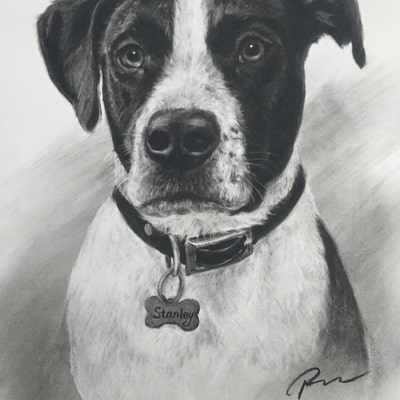Pet Portrait Custom Charcoal Pet Loss Gift Dog Portrait Charcoal Pet ...