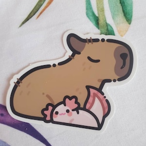 Capybara Car Sticker - Etsy