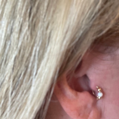 Freshwater Pearl Conch Ring, Gold Conch Hoop, Conch Jewelry, Conch ...