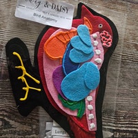 Apple Tree Life Cycle Plant Life Cycle Fruit Tree Felt Board Felt Board ...