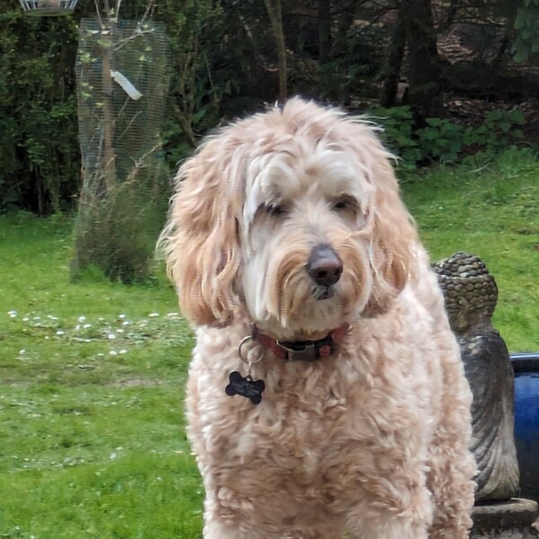 Police Officer Policeman Policewoman Collectable Clay Figure - Etsy UK