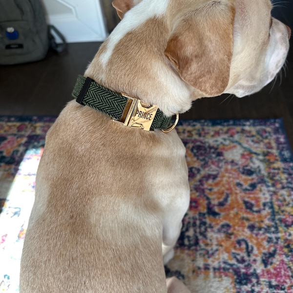 Green Chevron Dog Elite Bundle - Custom Dog Collar, Leash and Harness ...