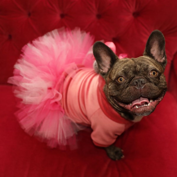 Dog Tutu: Pink Mix Tutu fuscia Pink, Bubblegum Pink, Baby Pink Small ...