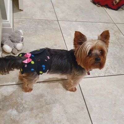 Dog Hygiene Knickers / Dog Season Pants Handmade by Me MADE TO ORDER by ...