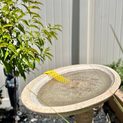 Monarch Butterfly Raising Kit Butterfly Raising Kit, Milkweed Floral ...