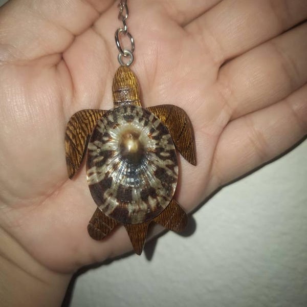 Hawaiian Braided Mongo Real Seashell for Necklace or Haku or Hat Band ...