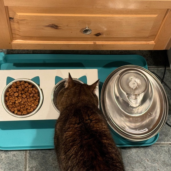 Cat Feeding Station - Elevated and Angled - Comes With Stainless Bowls ...