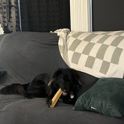 Small Dog Himalayan Yak Milk Bones Dog Chews for Small Dogs Organic ...