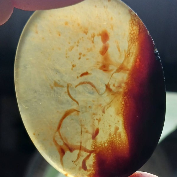 Red Fox Crater Agate Rough Stone Raw Botryoidal Red Agate Crystal ...