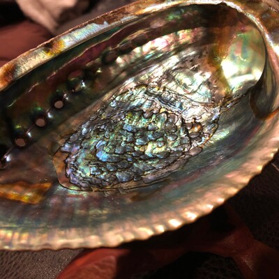 Large Abalone Shell, Colorful Abalone Shell, Natures Painting in a ...
