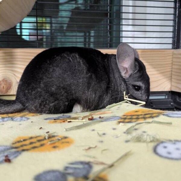 Ramp Covers ONLY for Wire Ramps Fleece Ramp Covers Nonslip off Cover ...