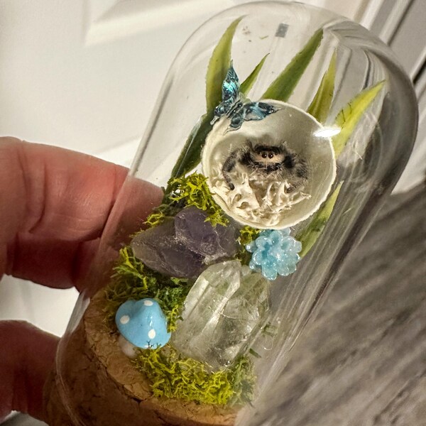 Clown Fish Nemo Themed Top Opening Hinged Jumping Spider Sling ...