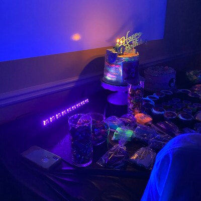 Lumo Glo Paint AND Airbrush Food Color GEL by Rolkem UV Glow in the ...