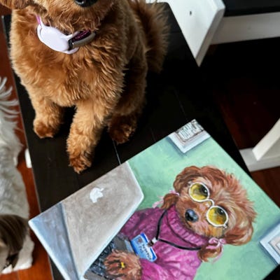 Mini Golden Doodle Ruby Dog Painting Custom Pet Portraits Personalized ...