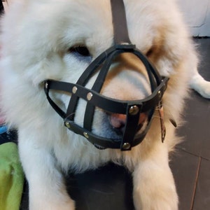 Leather Dog Muzzle Chow Chow & Other Similar Snouts - Etsy UK