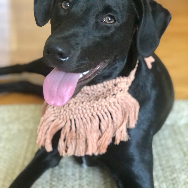 Macramé Dog Bandana With Fringe, Macramé Dog Collar, Adjustable Dog ...