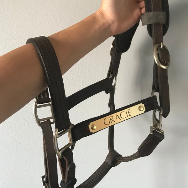 Custom Solid Brass Halter Plate Engraved and Personalized for Your ...