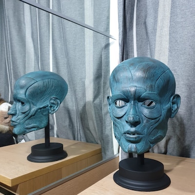 Bronze Verdigris Oxidized Patina Ecorche Display Mask With Stand - Etsy UK