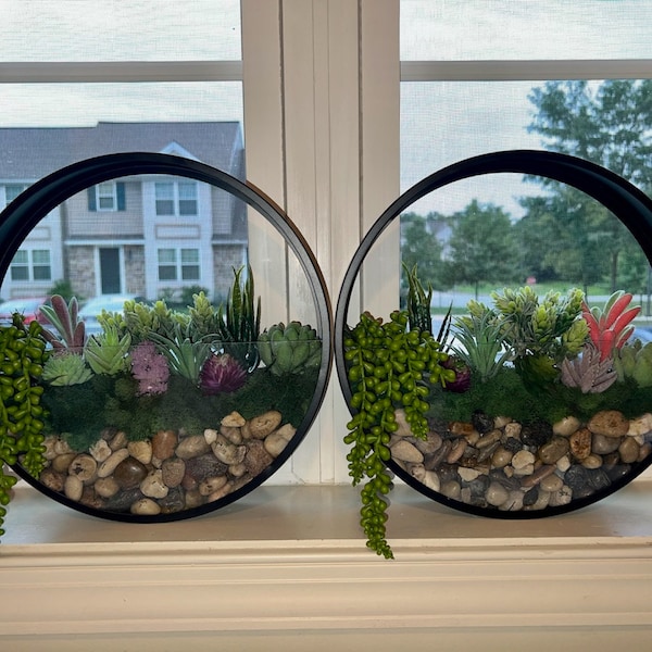 Wall Terrarium Kit - Etsy