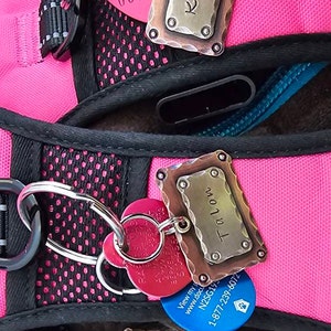 Large Dog Tag Personalized Pet ID Tag With Hand Stamped and Engraved ...