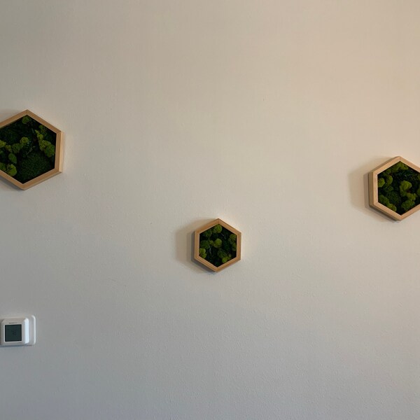 Moss Wall Art, Hexagon Moss Art, Honeycomb Wall Artwork, Preserved Moss ...