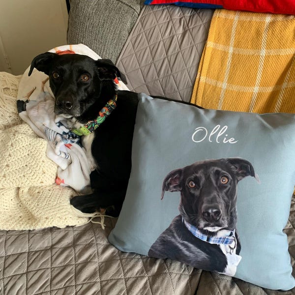 Custom Pet Pillow Using Pet Photo + Name Custom Cat Dog Pillow ...