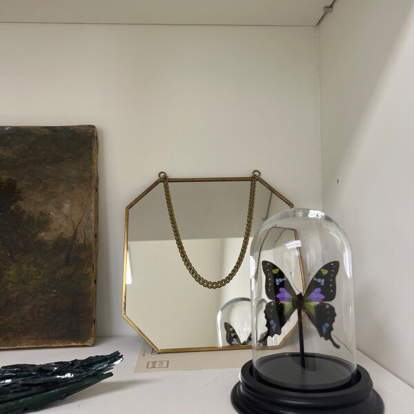 Mounted Fox (trophy) - Etsy