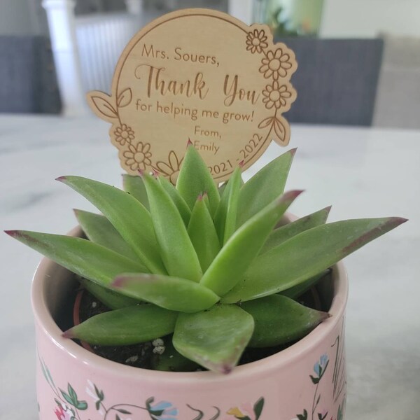 Teacher Flower Stake Gift | Teacher End of Year Gift | Daisy Design ...