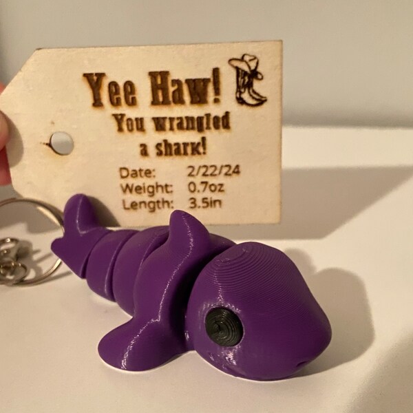 Stegosaurus Flexi Fidget Key Chain, Sensory Toy, 3D Printed Gift ...